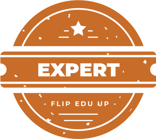 Course expert – flipeduup.eu